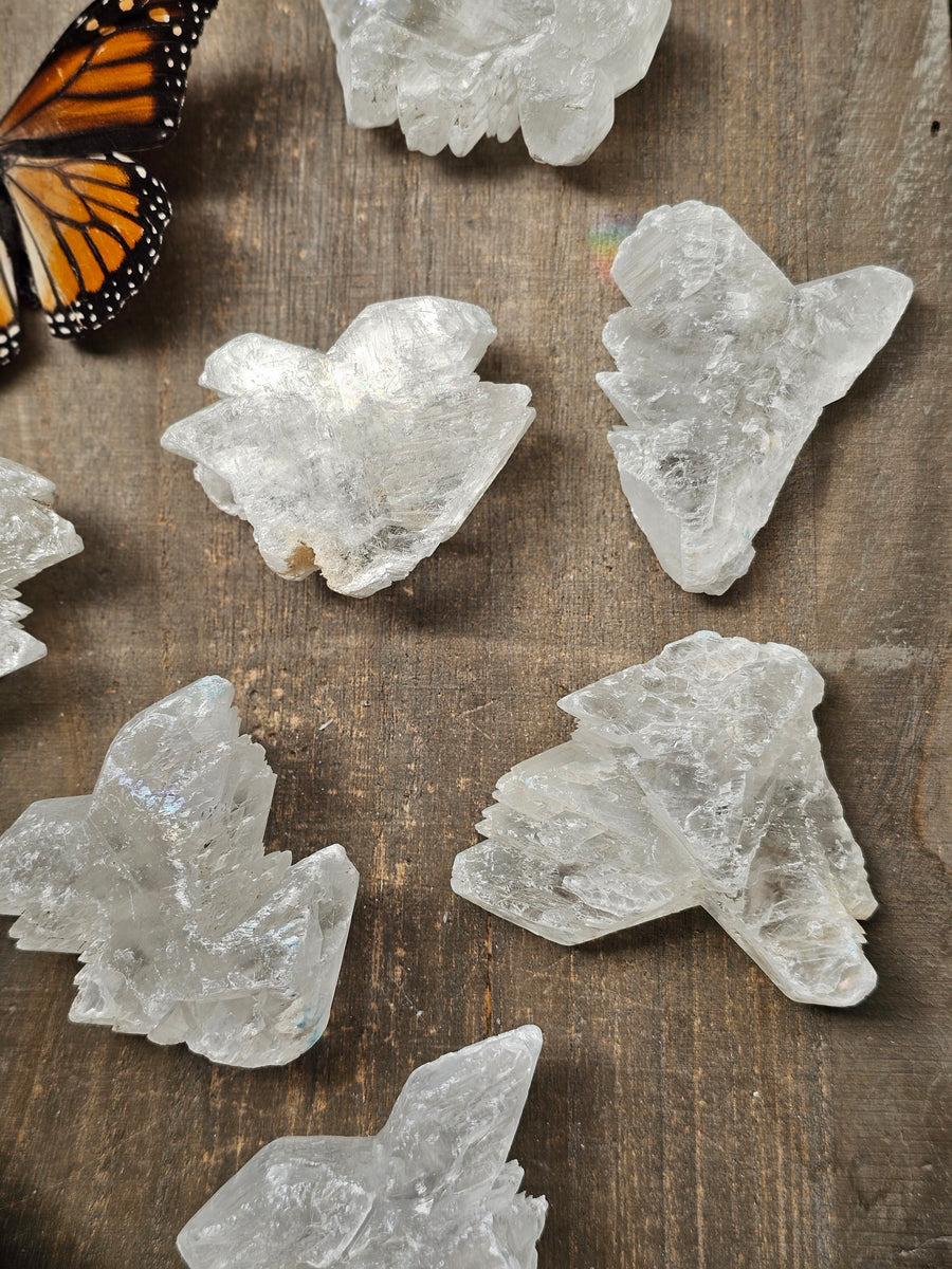 Raw Fishtail Selenite Purification Crystals – Mineral Mystic