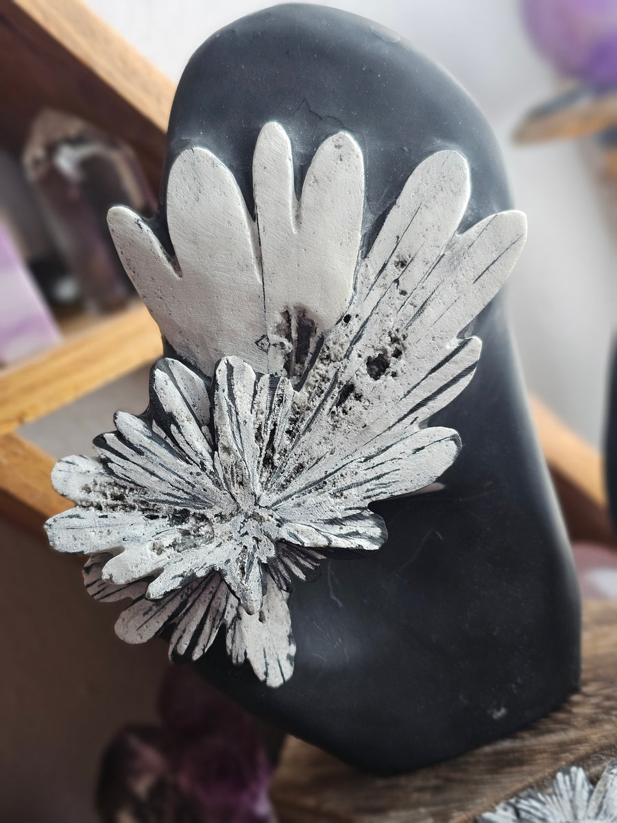 Natural Chrysanthemum Stone Free Form Fossils – Mineral Mystic