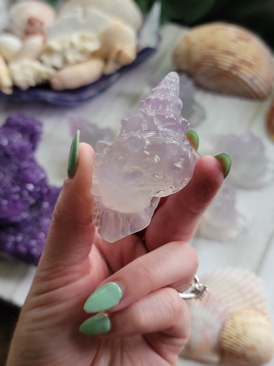 Natural Lavender Fluorite Crystal Conch Shell – Mineral Mystic